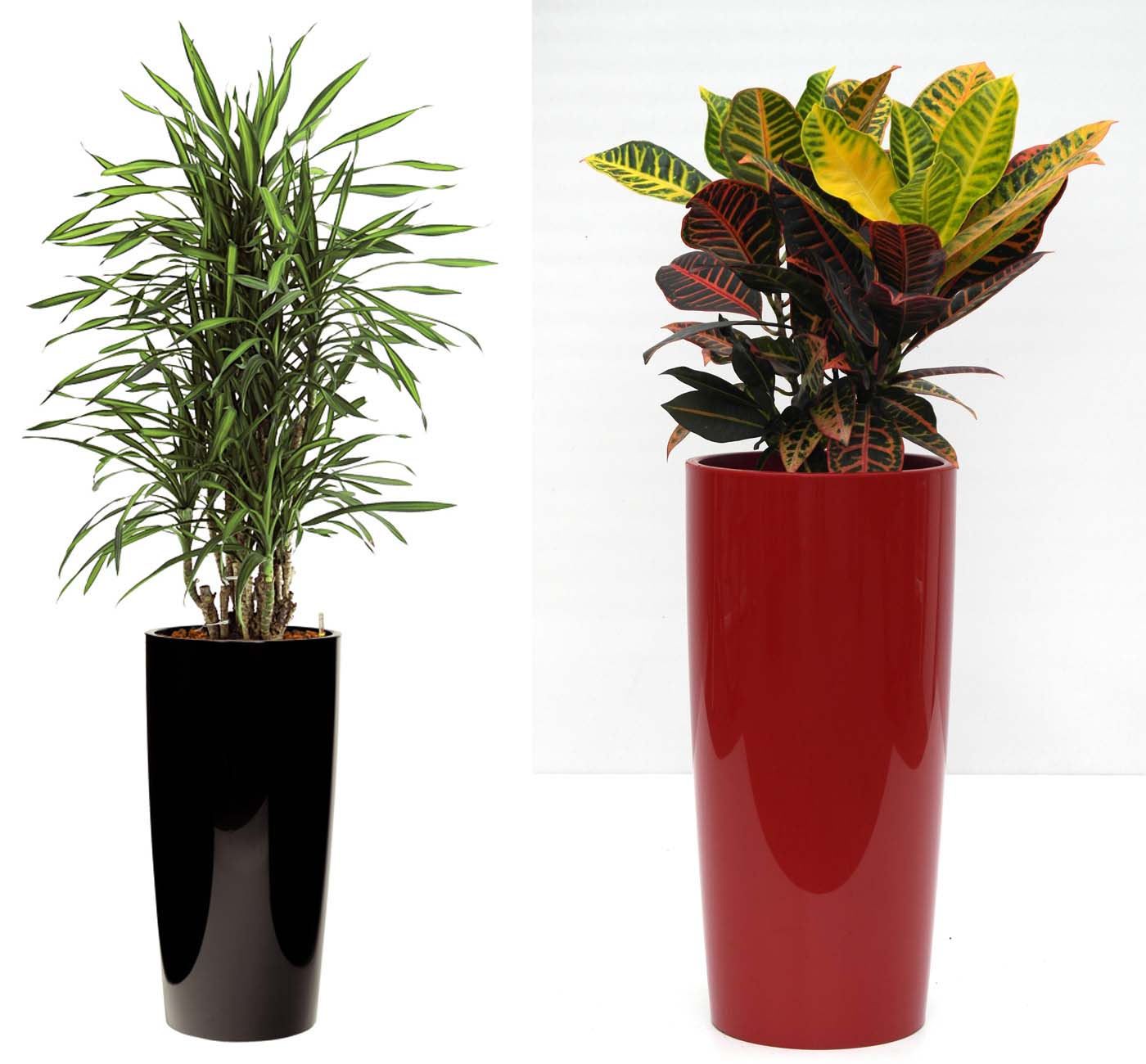 Hydro Profi Line® Hydrokulturgefäße aus Kunststoff für Hydrokulturen